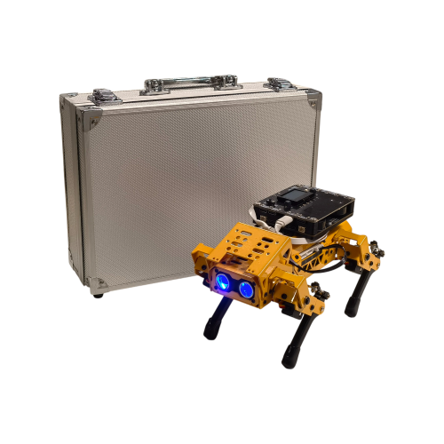 sheen | sheen the future: empowering AI & robotics education in South ...